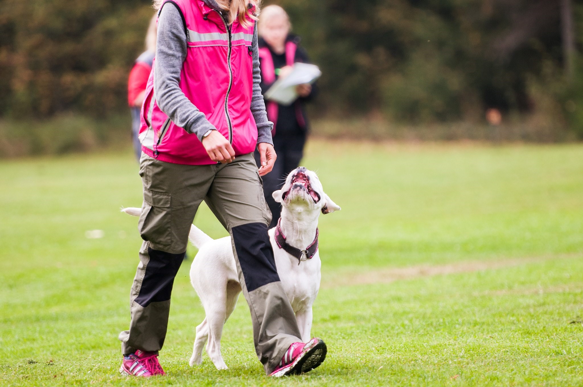 Prova på och bli inspirerad på olika träningsformer med din hund ...
