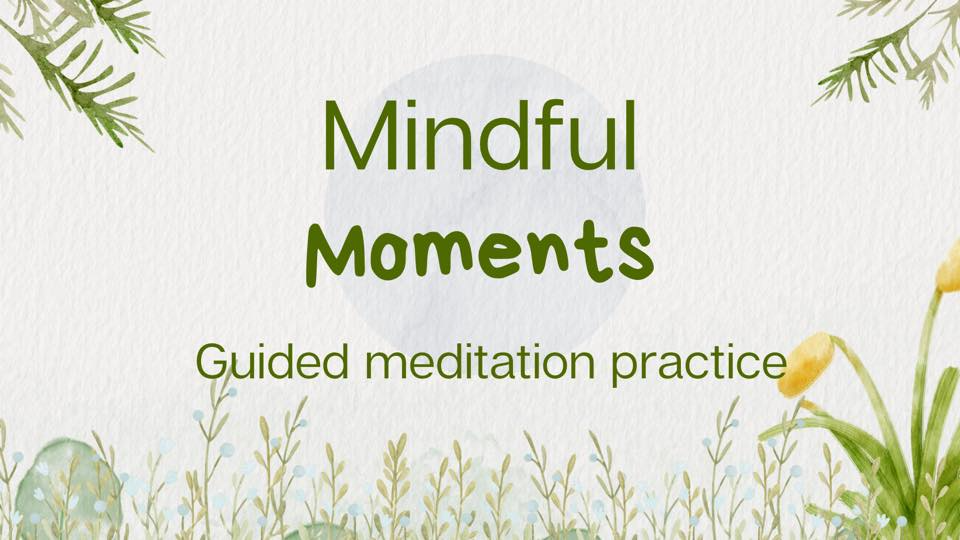 Mindful Moments - Guided meditation in the nature - Sörmlandsleden